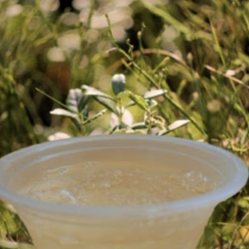 Tingling Rosemary Mint and Aloe Sulfate-FREE Shampoo infused with JBCO ...